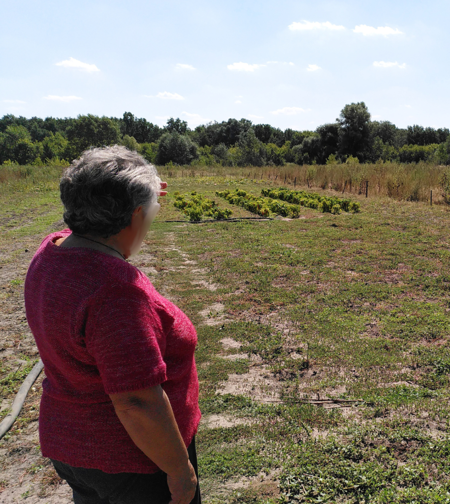 Leitartikel FoodFirst 04/2025: Ukraine - Getreide als Waffe - FIAN ...